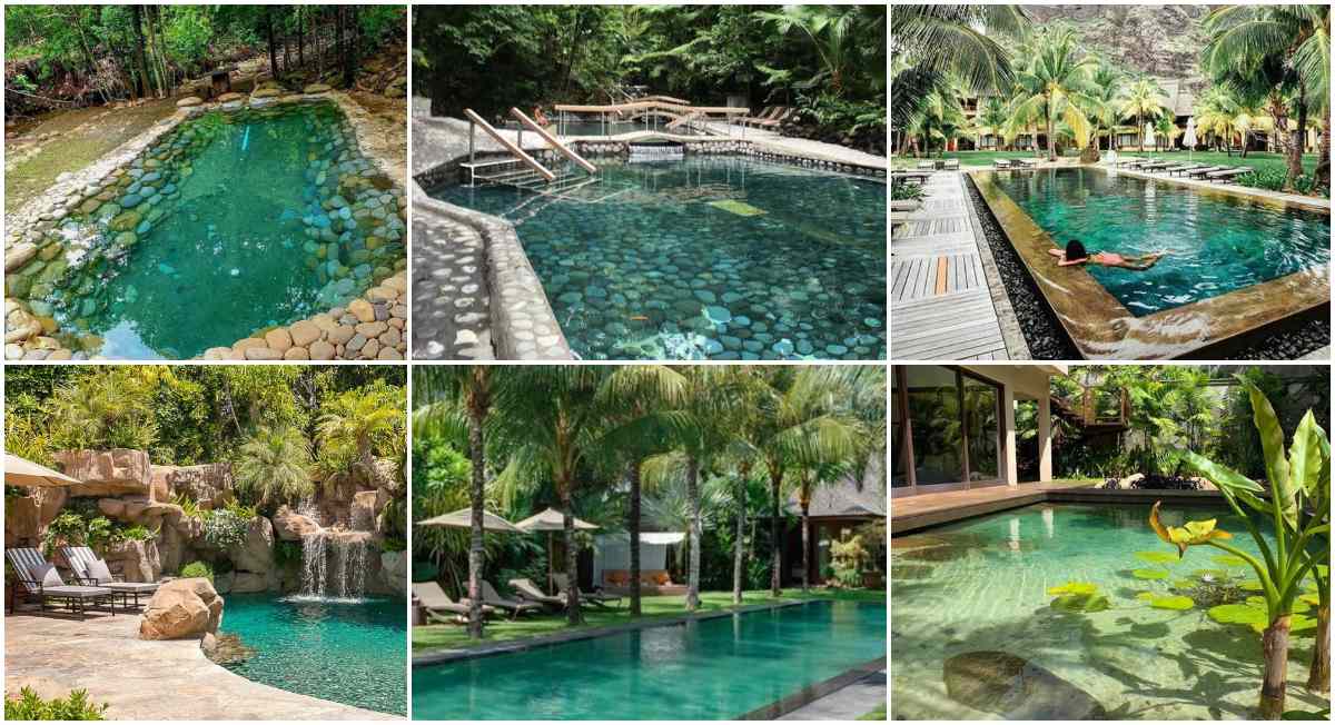 Piscinas Naturales: Un Oasis de Belleza Natural en Tu Hogar - PISCINAS CASA